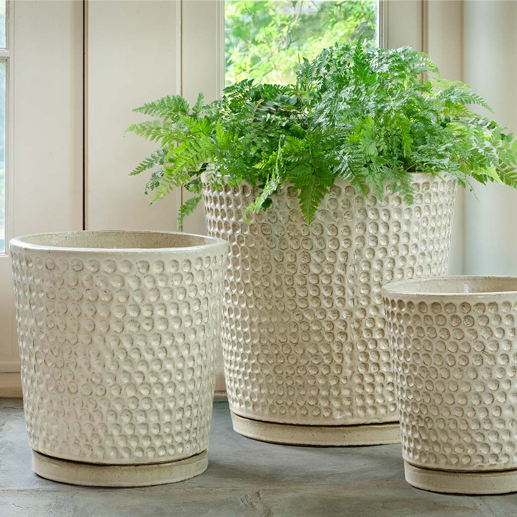 I/O Coin Pot || Cream – Garden-Fountains