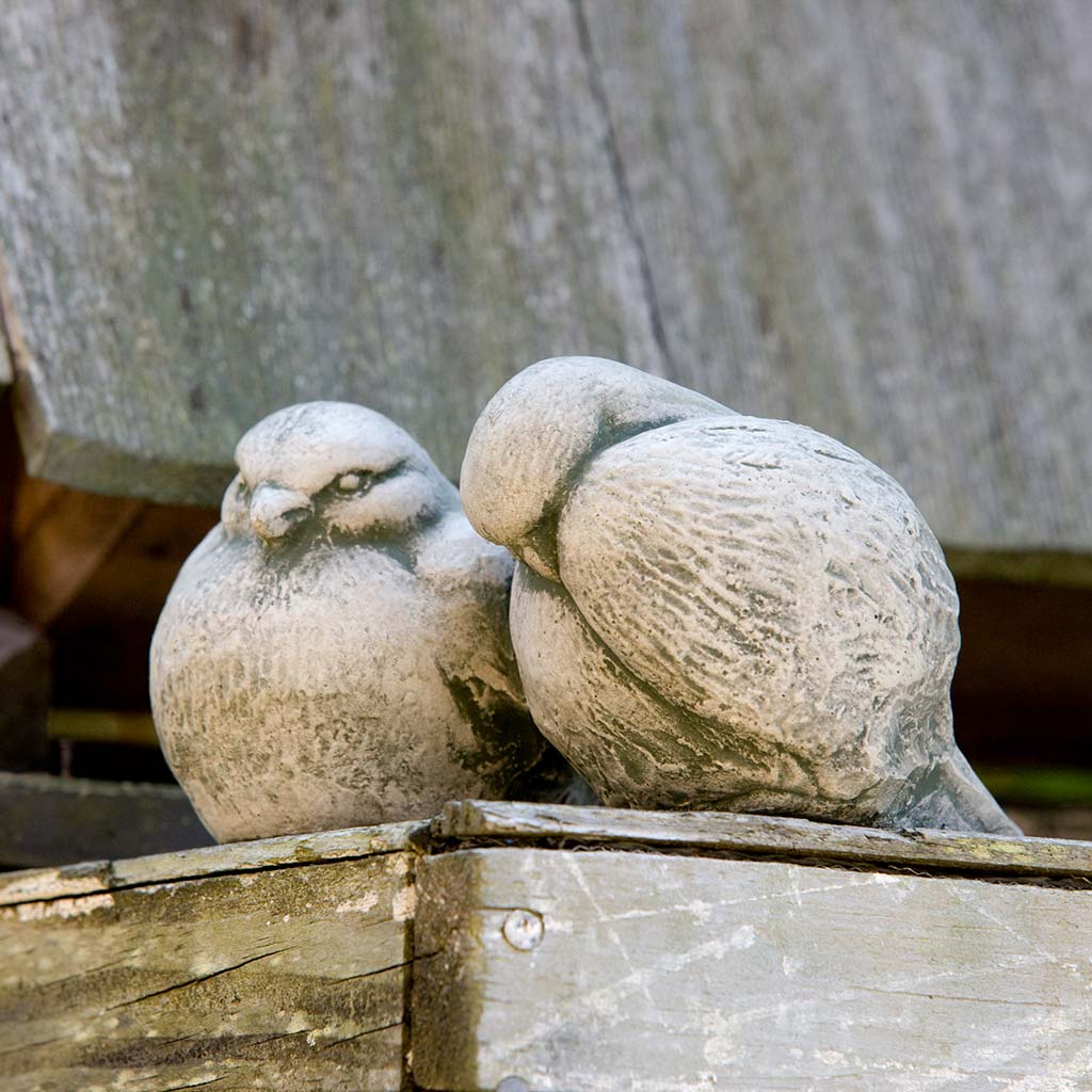 Campania International Duet Bird Statue | Garden-Fountains