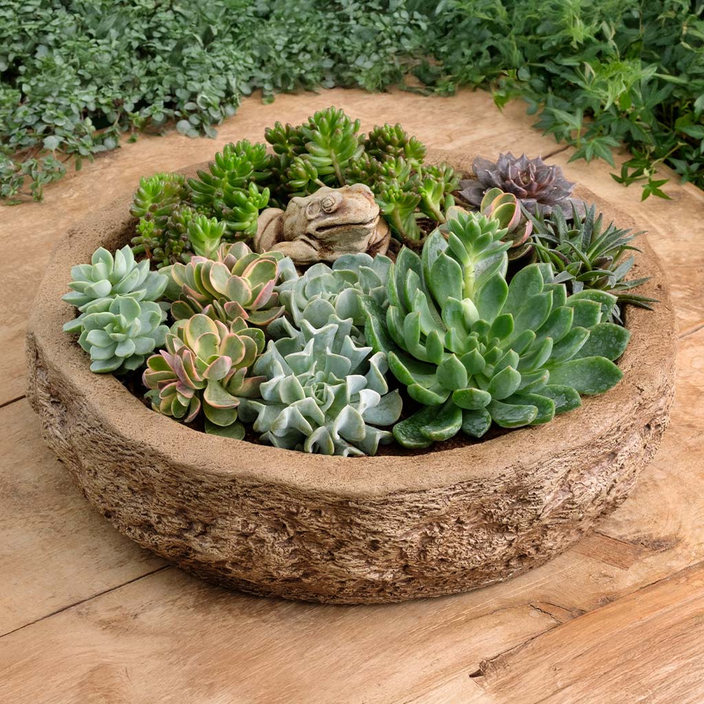 Forest Frog Planter – Garden-Fountains