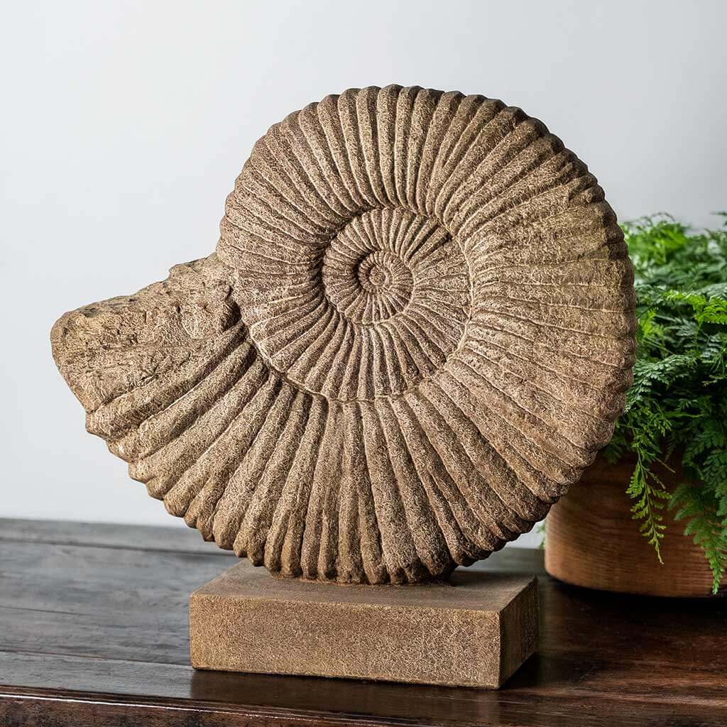 Campania International Ammonite Medium Statue | Garden-Fountains